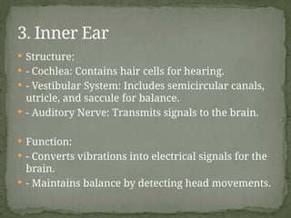 structure and function of ear presentation - Priya Ghosh.pptx
