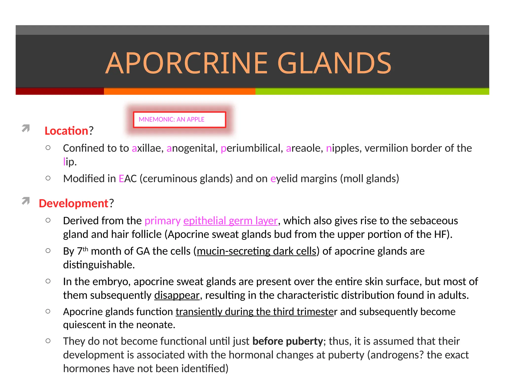 Structure and Function of Eccrine, Apocrine, and Sebaceous Glands.pptx