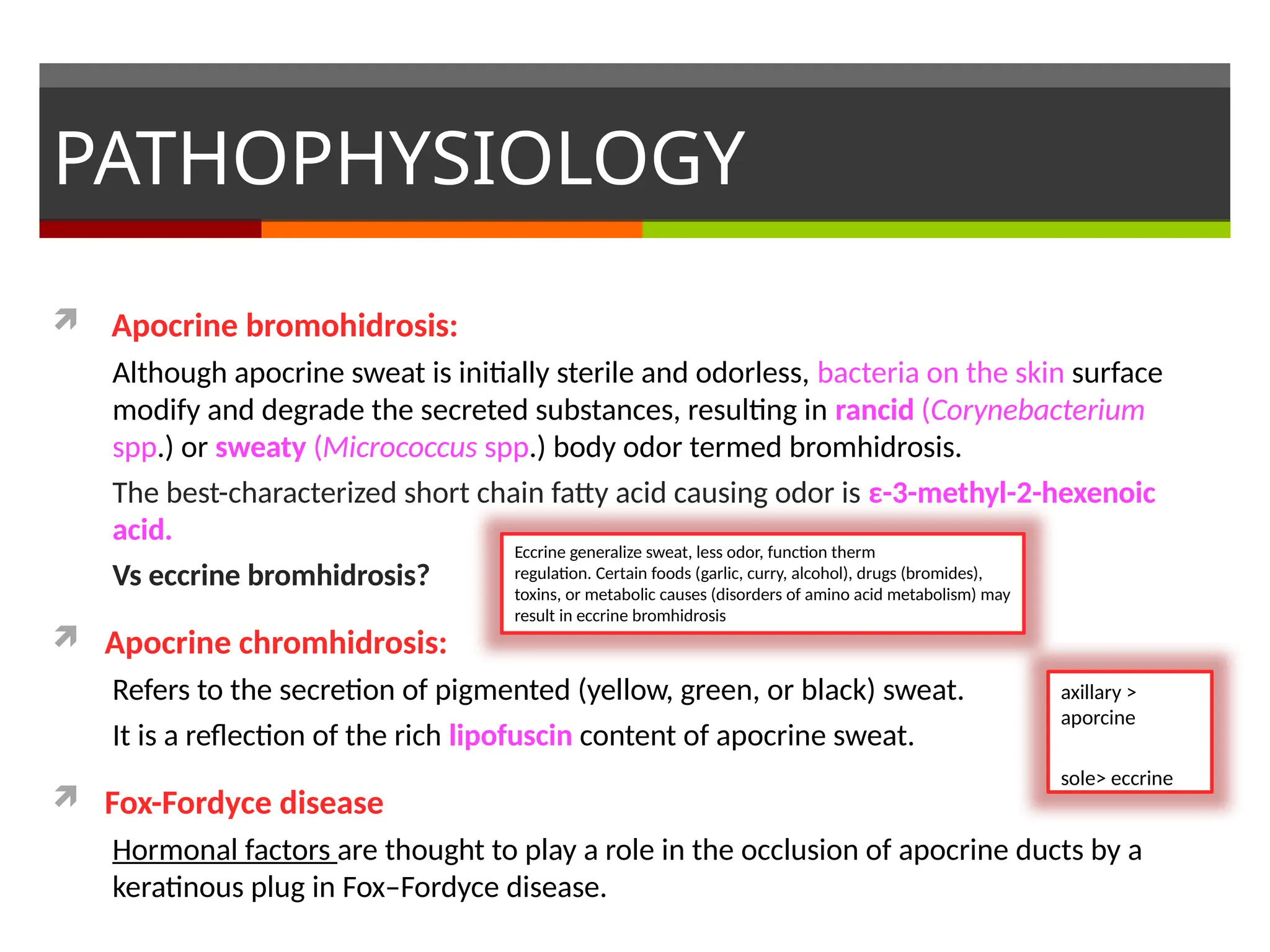 Structure and Function of Eccrine, Apocrine, and Sebaceous Glands.pptx