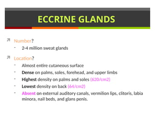 Structure and Function of Eccrine, Apocrine, and Sebaceous Glands.pptx
