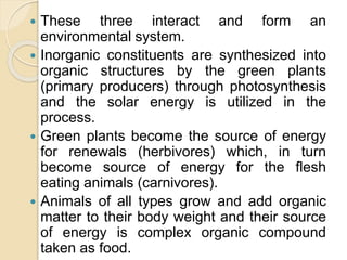 Structure and function of ecosystem | PPTX