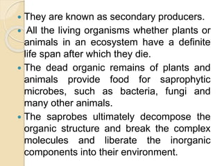 Structure and function of ecosystem | PPTX