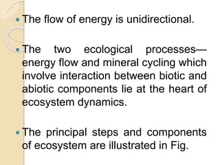 Structure and function of ecosystem | PPTX