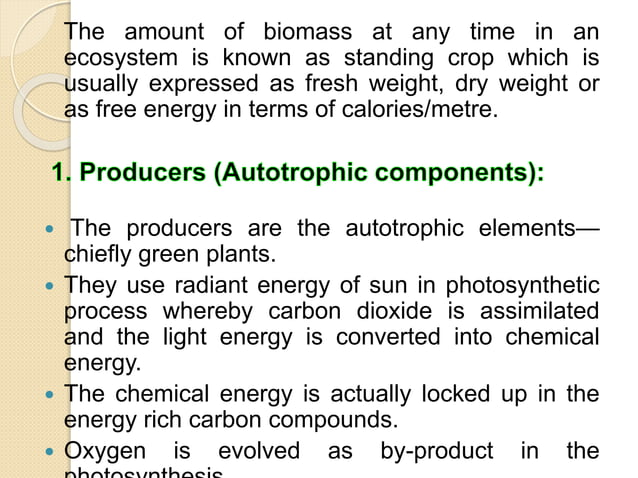 Structure and function of ecosystem | PPTX | Geography | Science