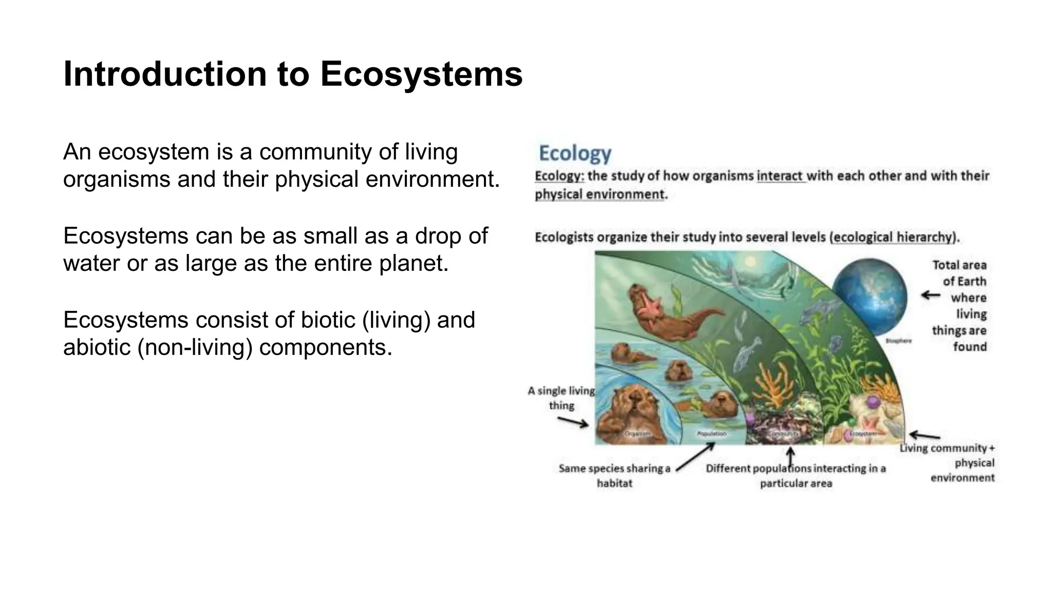 Structure And Function Of Ecosystem.pptx | Geography | Science