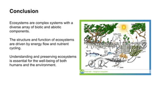 Structure And Function Of Ecosystem.pptx