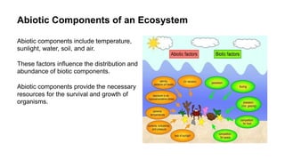Structure And Function Of Ecosystem.pptx