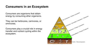 Structure And Function Of Ecosystem.pptx | Geography | Science