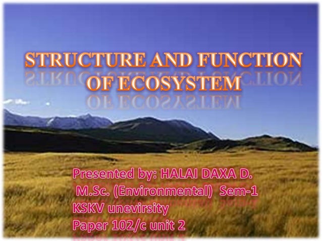 Structure And Function Of Ecosystems Ppt