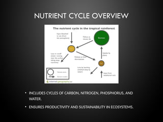 Structure_and_Function_of_Ecosystem_Nutrient_Cycle.pptx