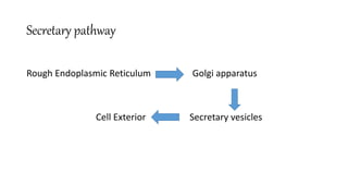 Structure and function of endoplasmic reticulum and golgi.pptx