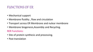 Structure and function of endoplasmic reticulum and golgi.pptx