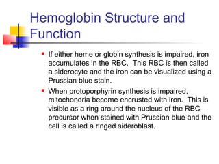 Structure and function of erythropoietic tissue | PPT