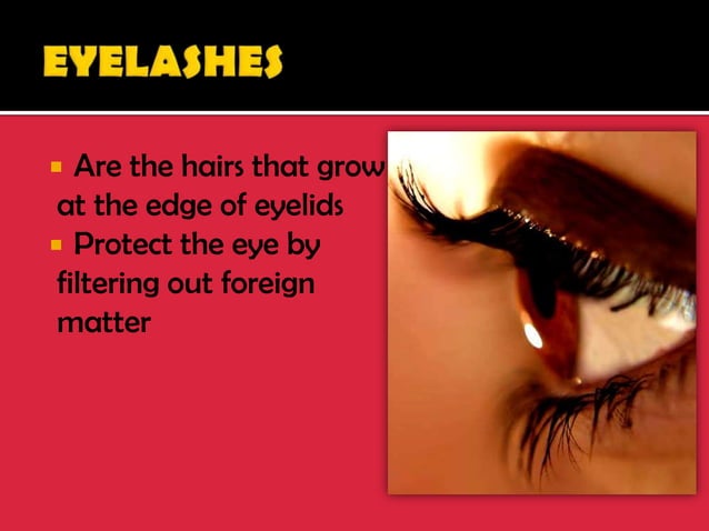 Structure and function of eye | PPTX