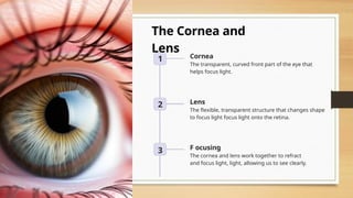 structure and function of eye ppt - Tuhin Patra.pptx