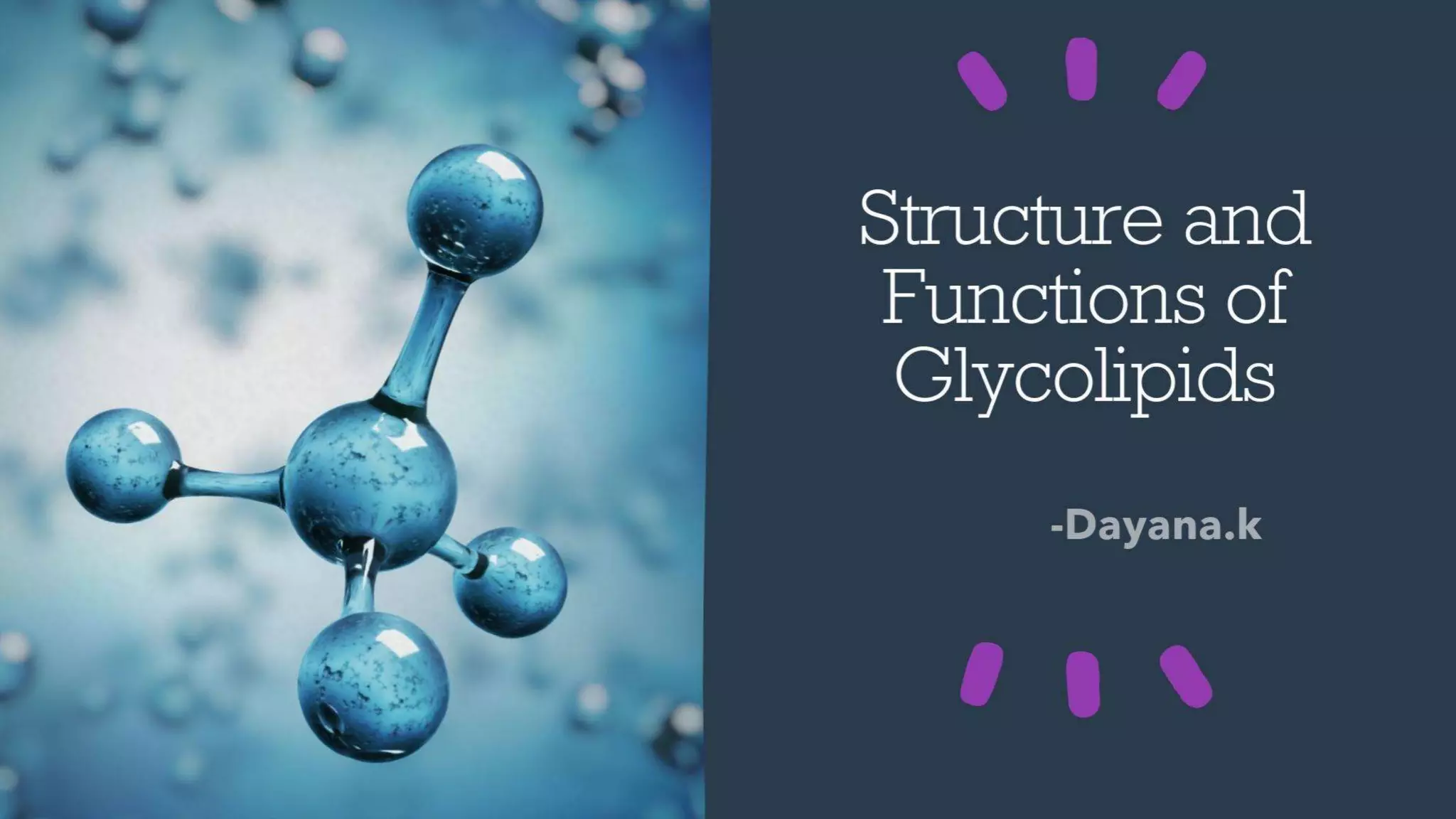 structure and function of glycolipid.pptx