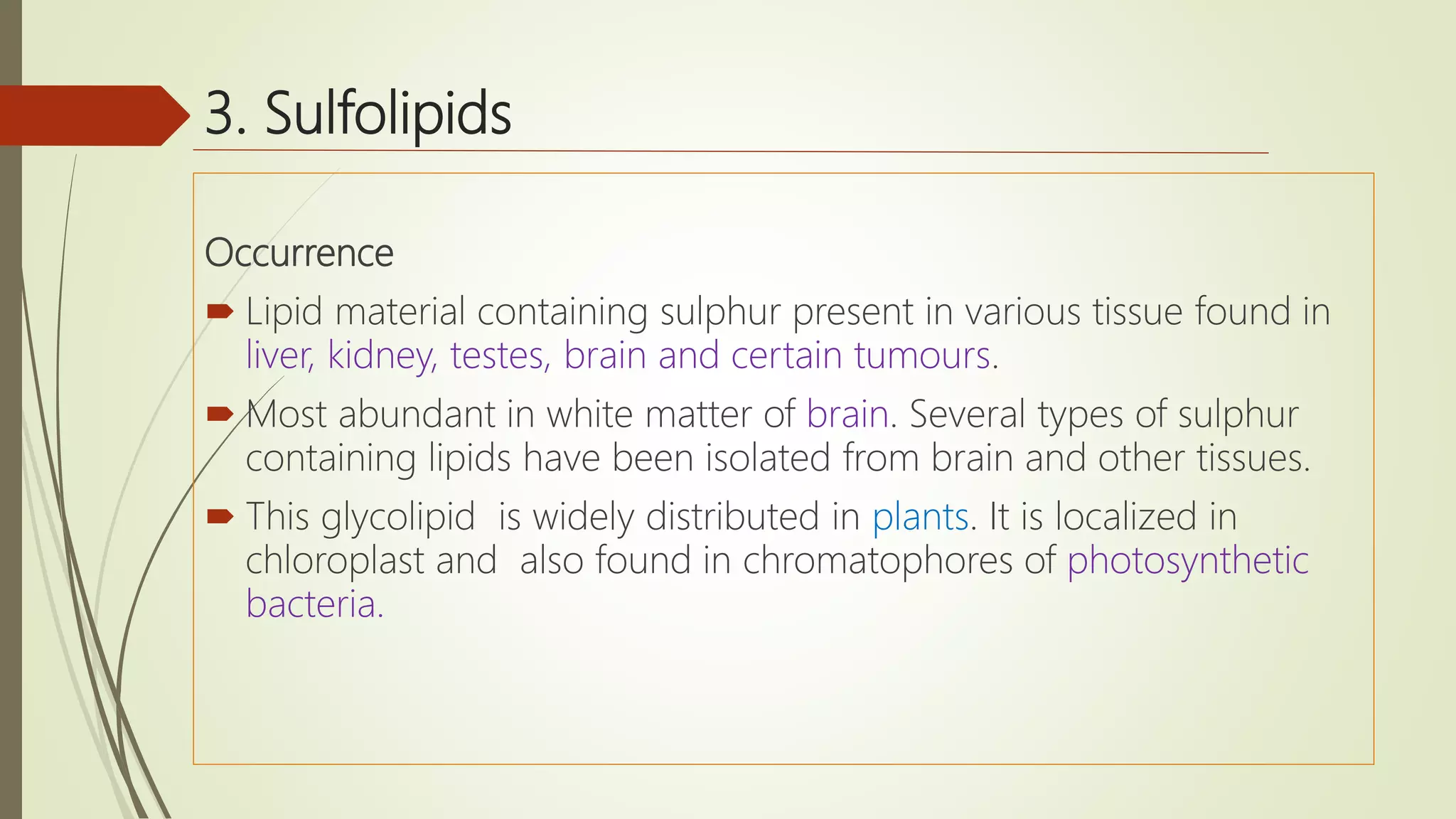 structure and function of glycolipid.pptx