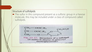 structure and function of glycolipid.pptx