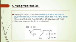structure and function of glycolipid.pptx