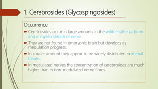 structure and function of glycolipid.pptx