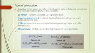 structure and function of glycolipid.pptx