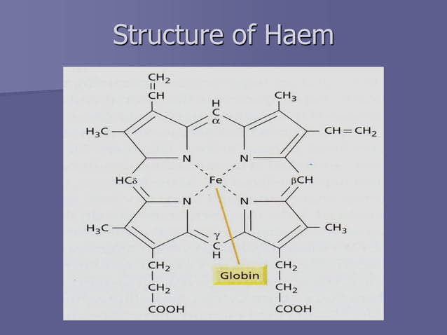 Structure and function of hemoglobin | PDF | Blood Disorders | Diseases ...