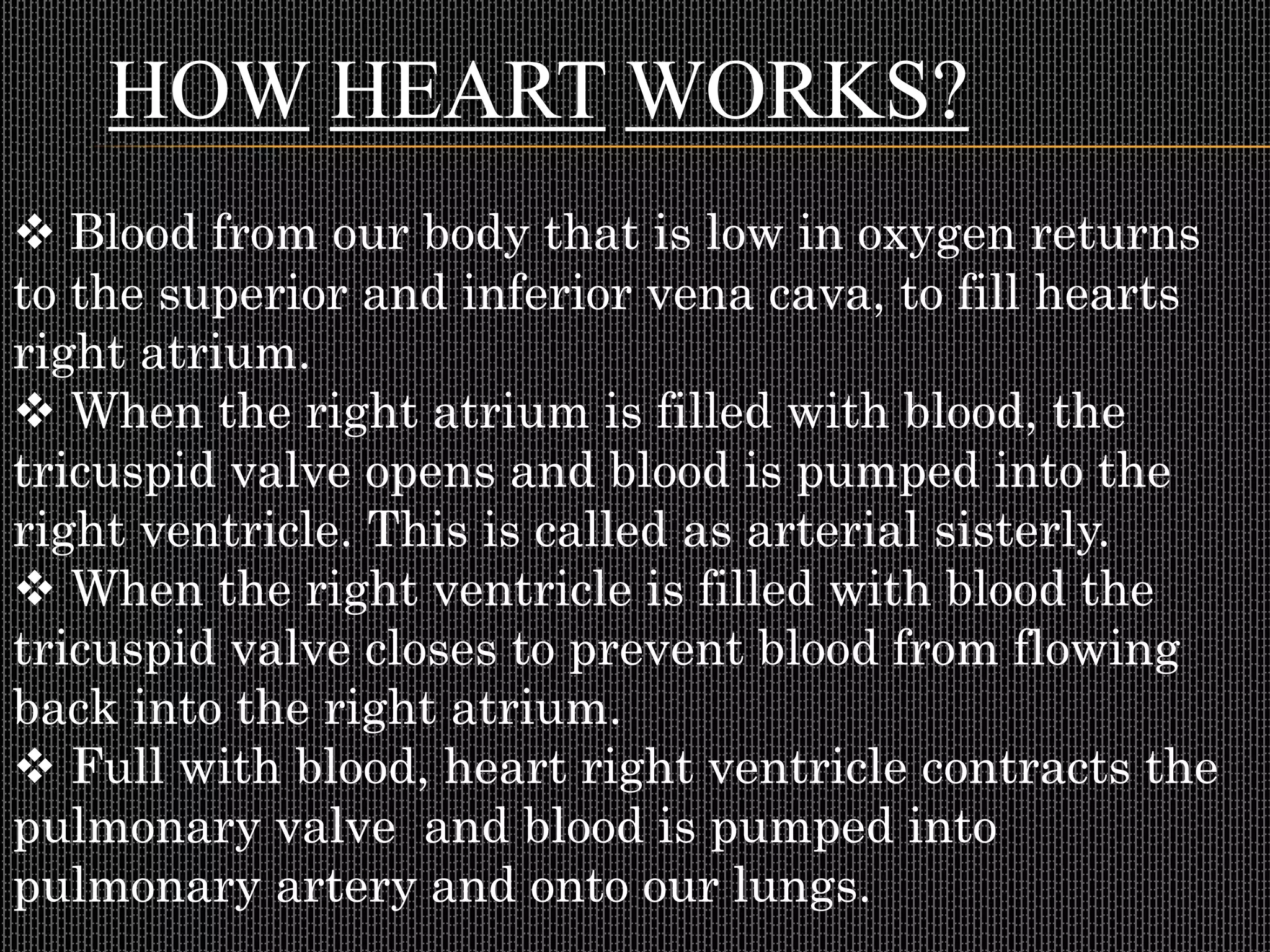 Structure and function of heart by Shashank Bandre Class 10 CBSE | PPTX