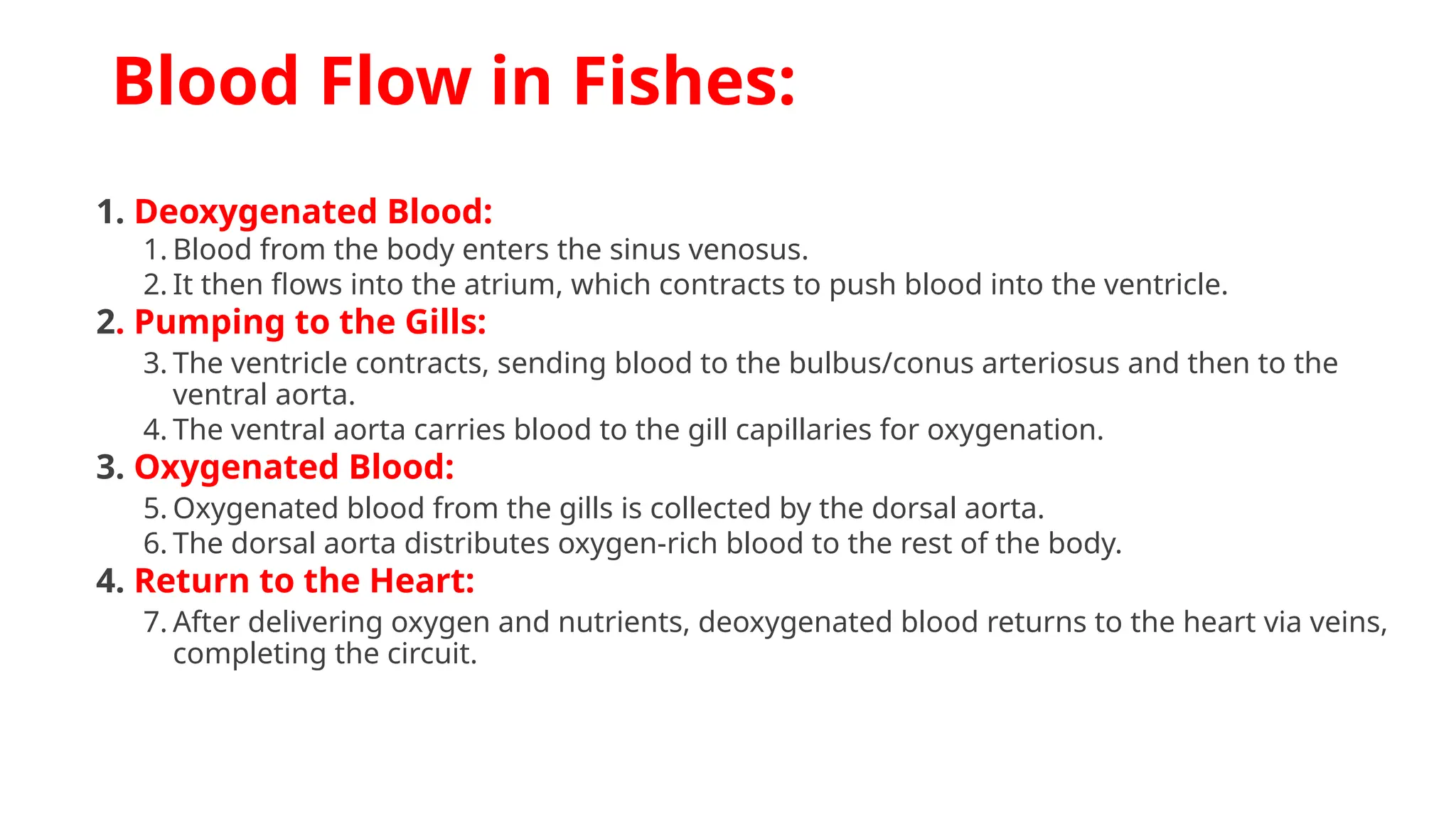 Structure and Function of Heart in Fishes.pptx