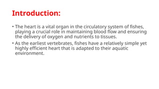 Structure and Function of Heart in Fishes.pptx