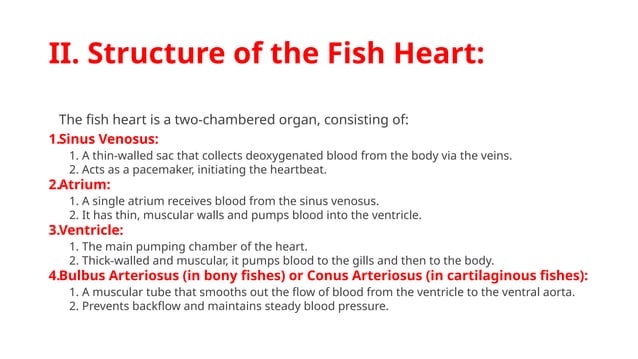 Structure and Function of Heart in Fishes.pptx