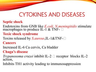 Structure and function of immune system | PPTX