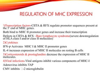 Structure and function of immune system | PPTX