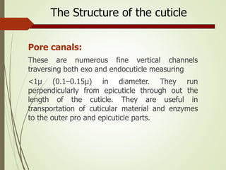 structure and function of insect cuticle. pptx | PPTX
