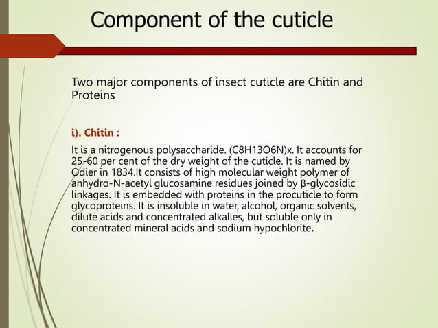 structure and function of insect cuticle. pptx | PPTX