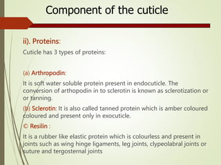 structure and function of insect cuticle. pptx | PPTX