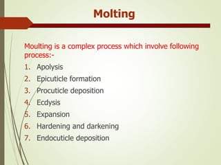 structure and function of insect cuticle. pptx | PPTX