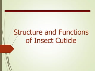 structure and function of insect cuticle. pptx | PPTX