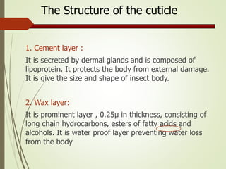 structure and function of insect cuticle. pptx | PPTX