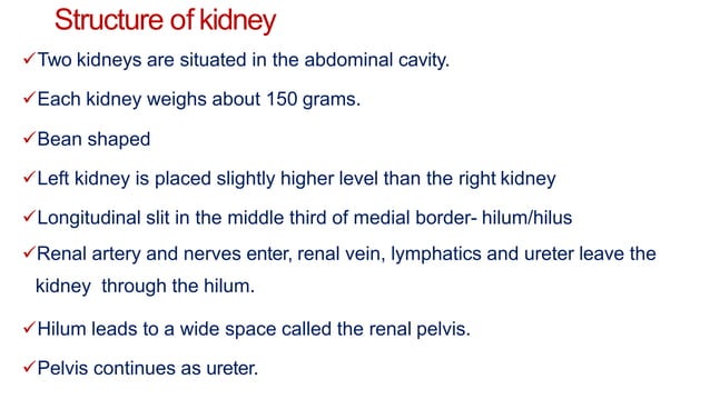structure and function of kidney.pptx
