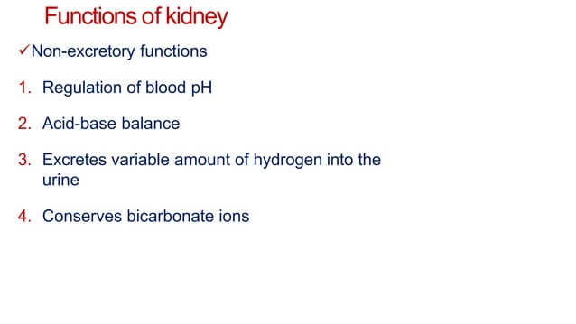 structure and function of kidney.pptx