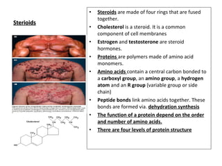 Structure And Function Of Macromolecules1 | PPT