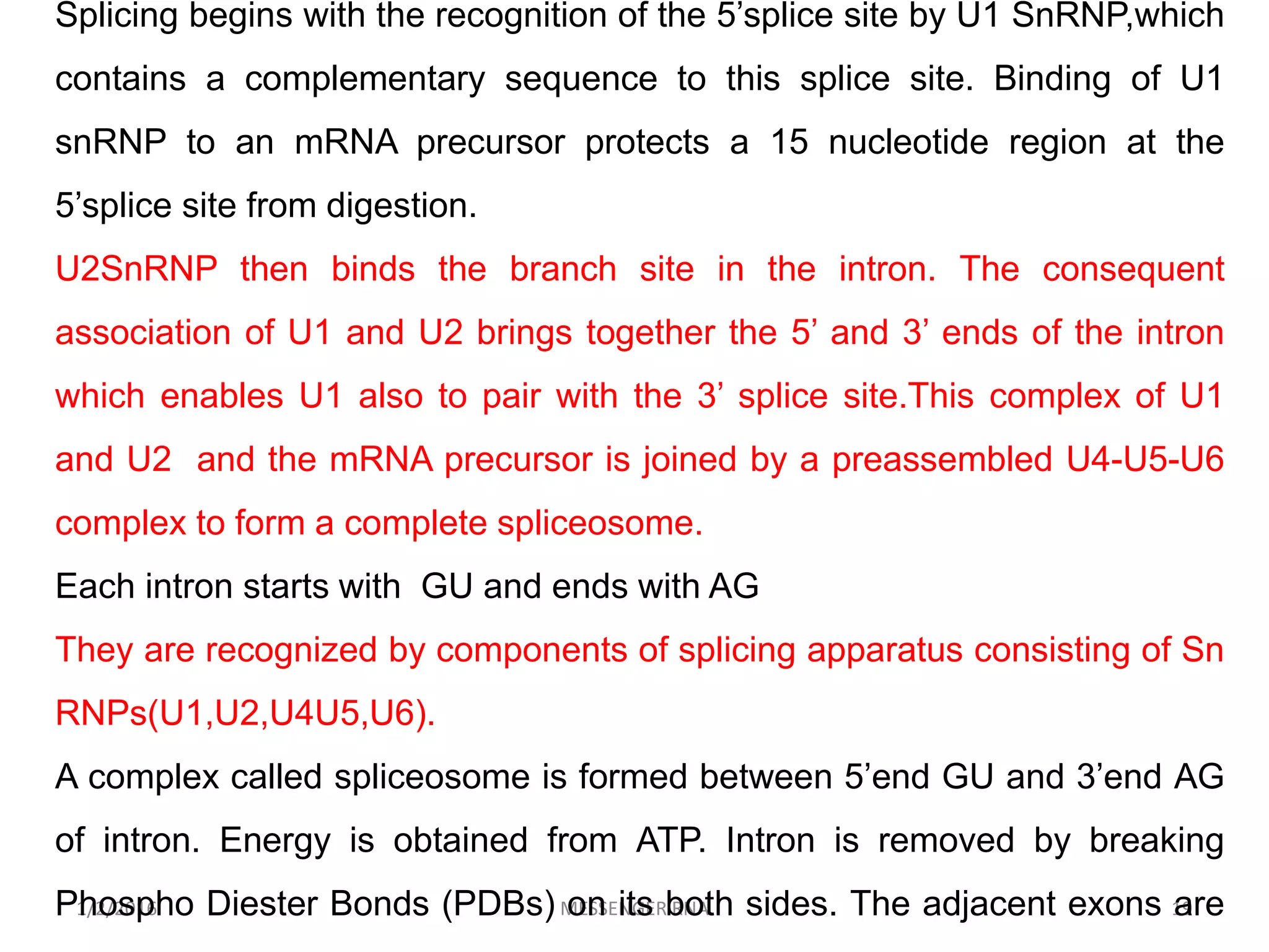 Structure and function of Messenger RNA (mRNA ) | PPTX