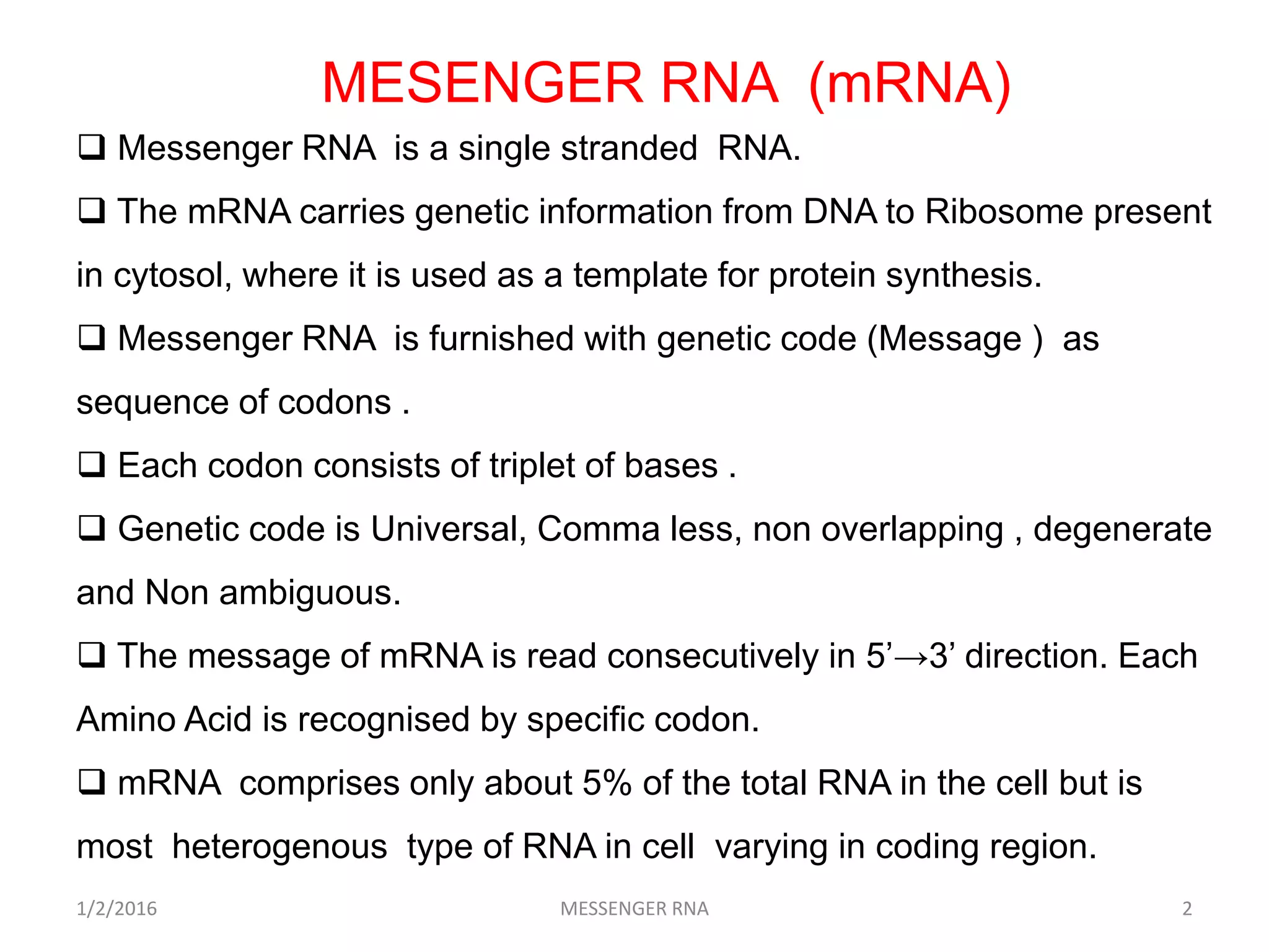 Structure and function of Messenger RNA (mRNA ) | PPTX