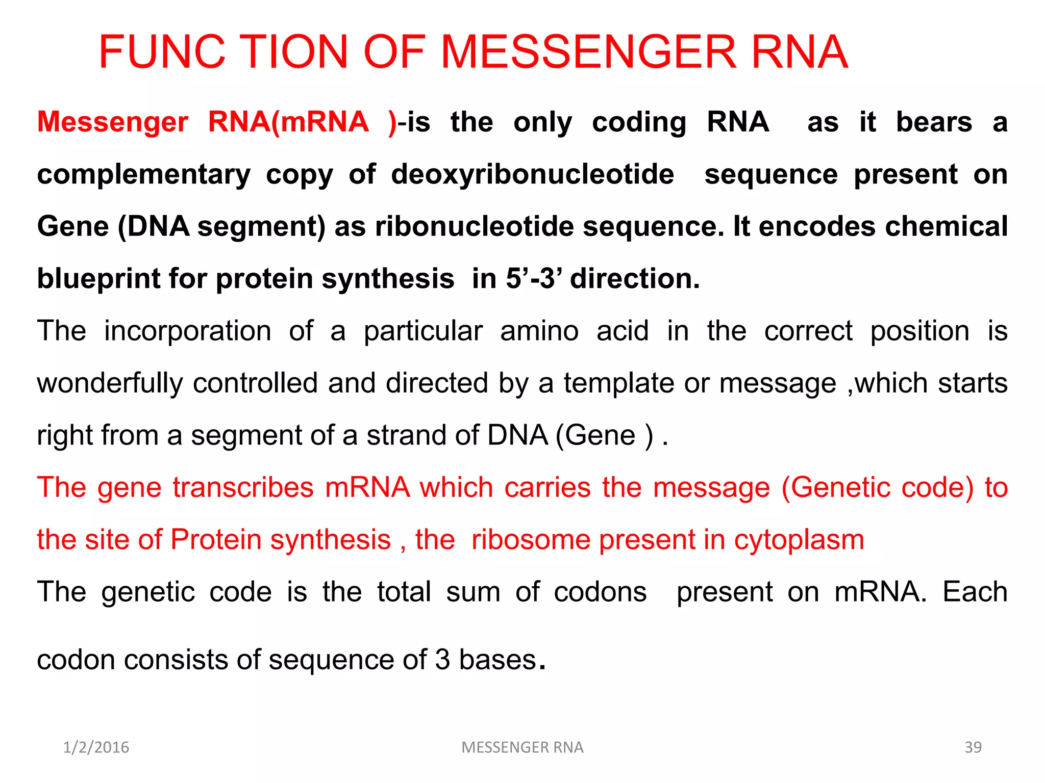 Structure and function of Messenger RNA (mRNA ) | PPTX | Programming Languages | Computing
