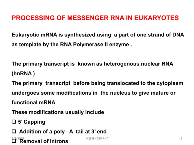 Structure and function of Messenger RNA (mRNA ) | PPTX | Programming Languages | Computing