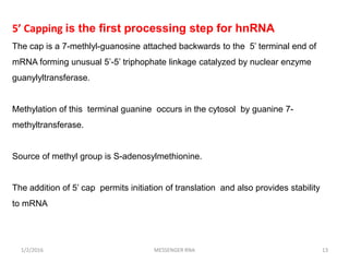 Structure and function of Messenger RNA (mRNA ) | PPTX