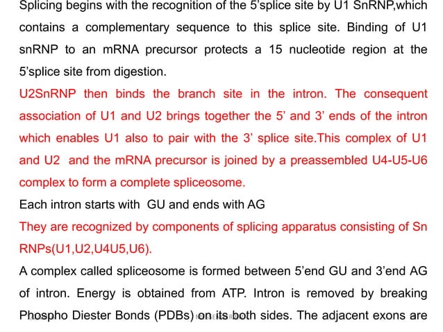 Structure And Function Of Messenger Rna Mrna Pptx Programming Languages Computing