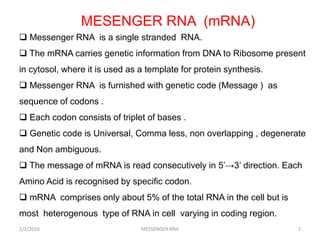 Structure and function of Messenger RNA (mRNA ) | PPTX