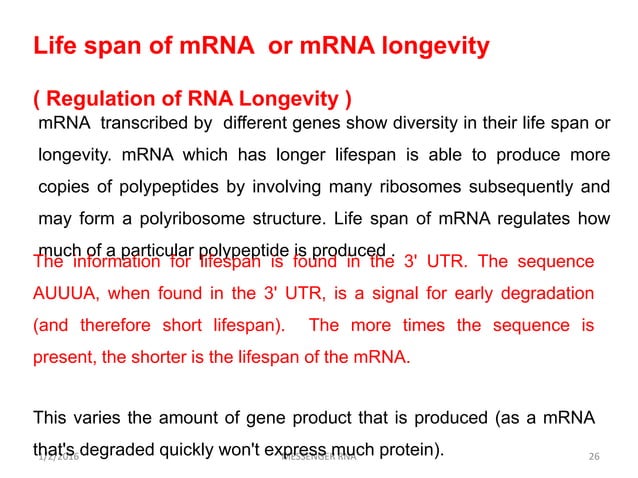 Structure and function of Messenger RNA (mRNA ) | PPTX | Programming Languages | Computing