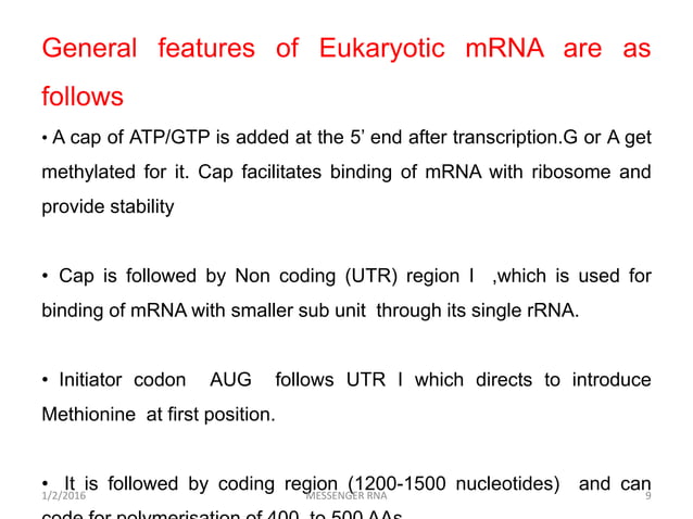 Structure And Function Of Messenger Rna Mrna Pptx Programming Languages Computing